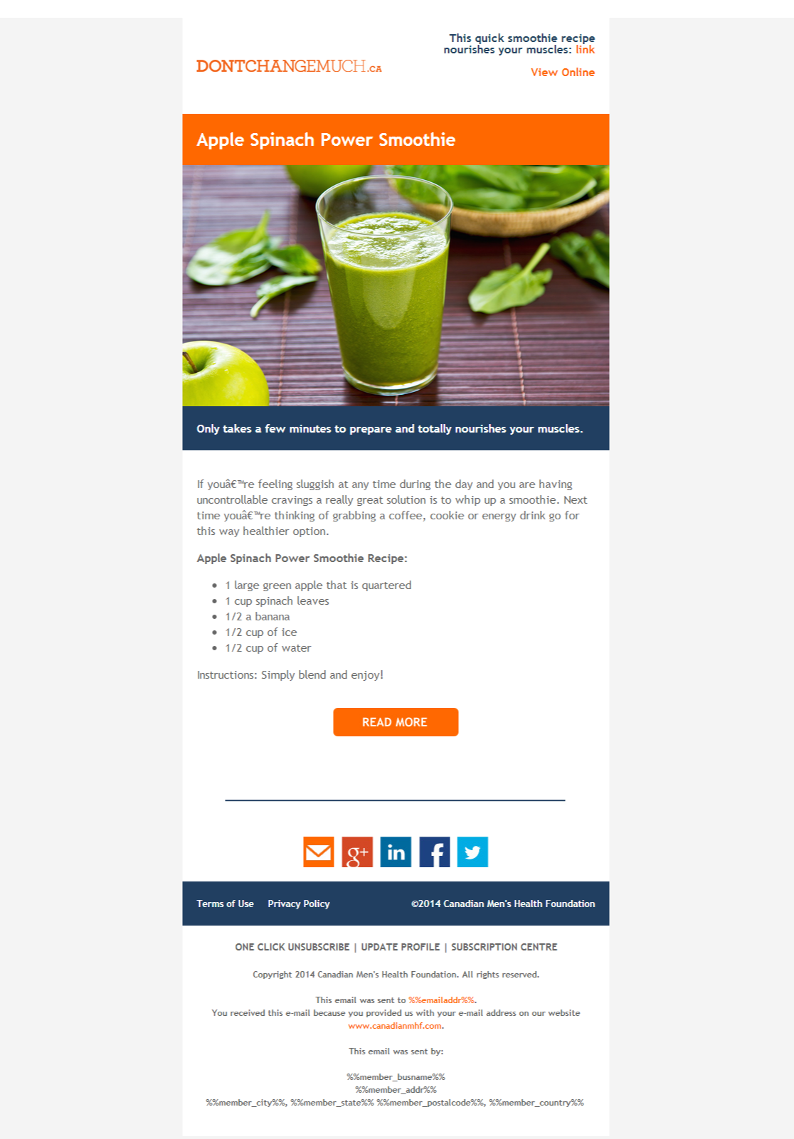 Email Newsletter Screenshot – Don't Change Much